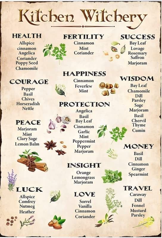 Kitchen Witchery Poster N002 - Intercept Inter National