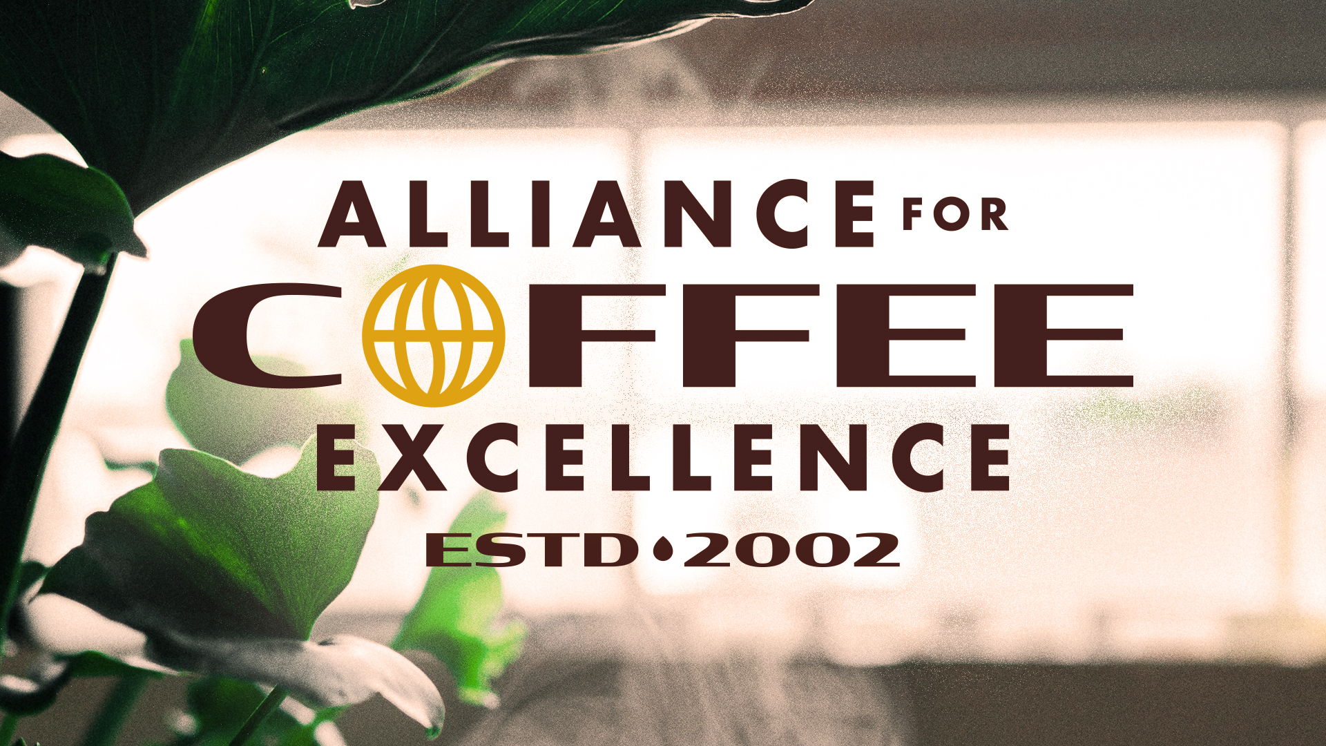 Testimonial Collection Tribute for ACE Membership